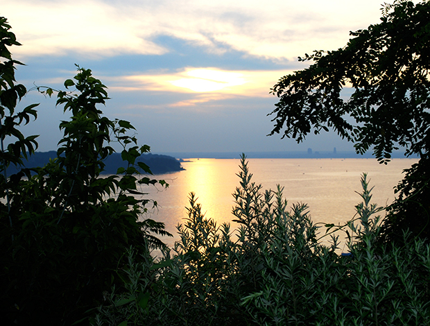 Sea Cliff: Long Island’s Artistic Masterpiece