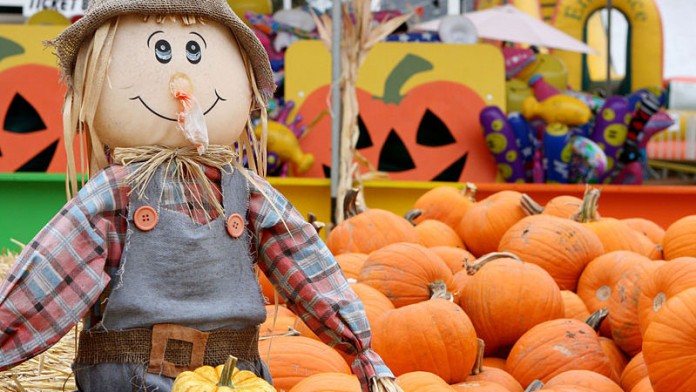 Long Island Fall Festivals and Street Fairs 2014