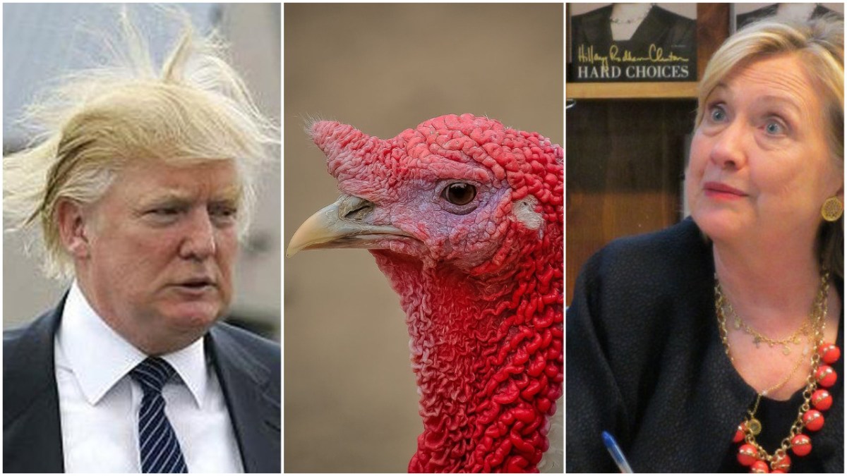 Post-Presidential Election Thanksgiving Survival Guide: 20 Tips