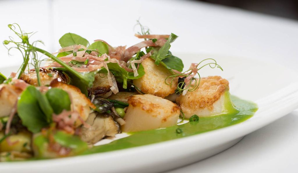 Fine Dining From The Harbor To The Bay