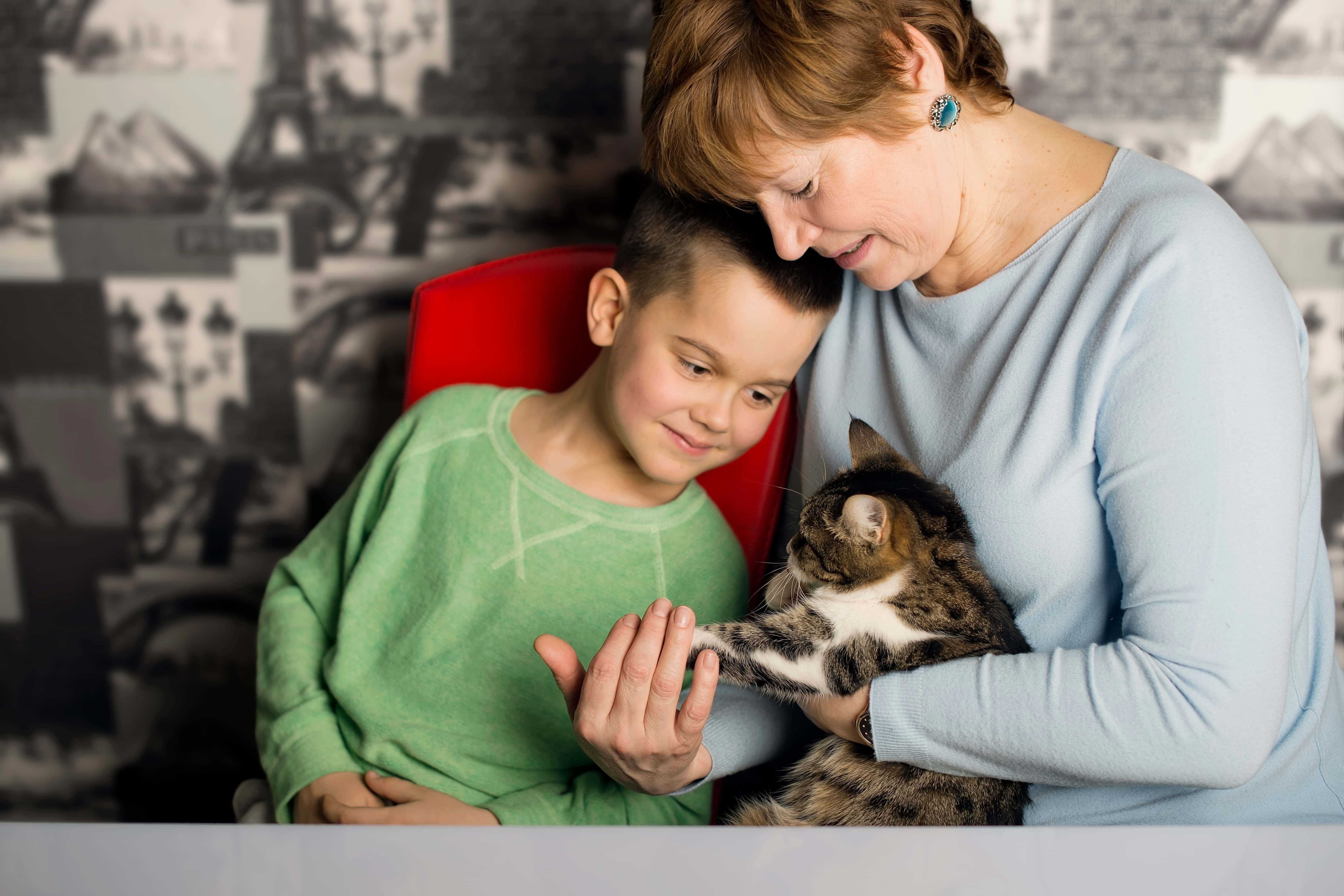 How To Foster A Pet Up For Adoption