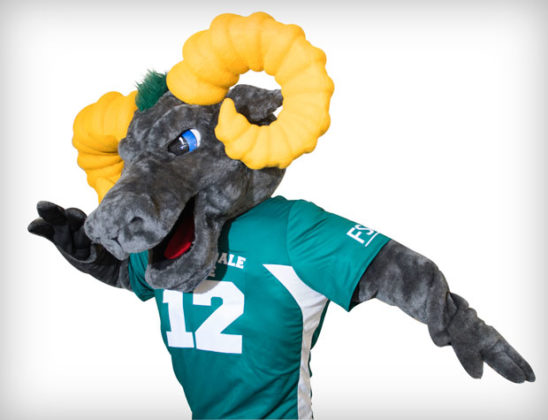 15 Mascots That Rally Long Island College Spirit