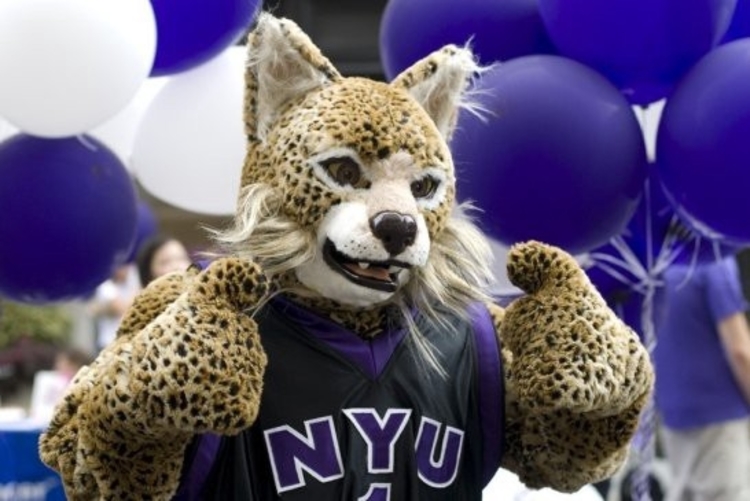 15 Mascots That Rally Long Island College Spirit