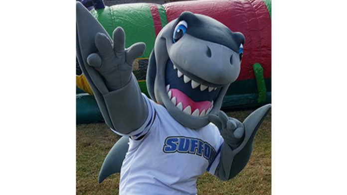 15 Mascots That Rally Long Island College Spirit
