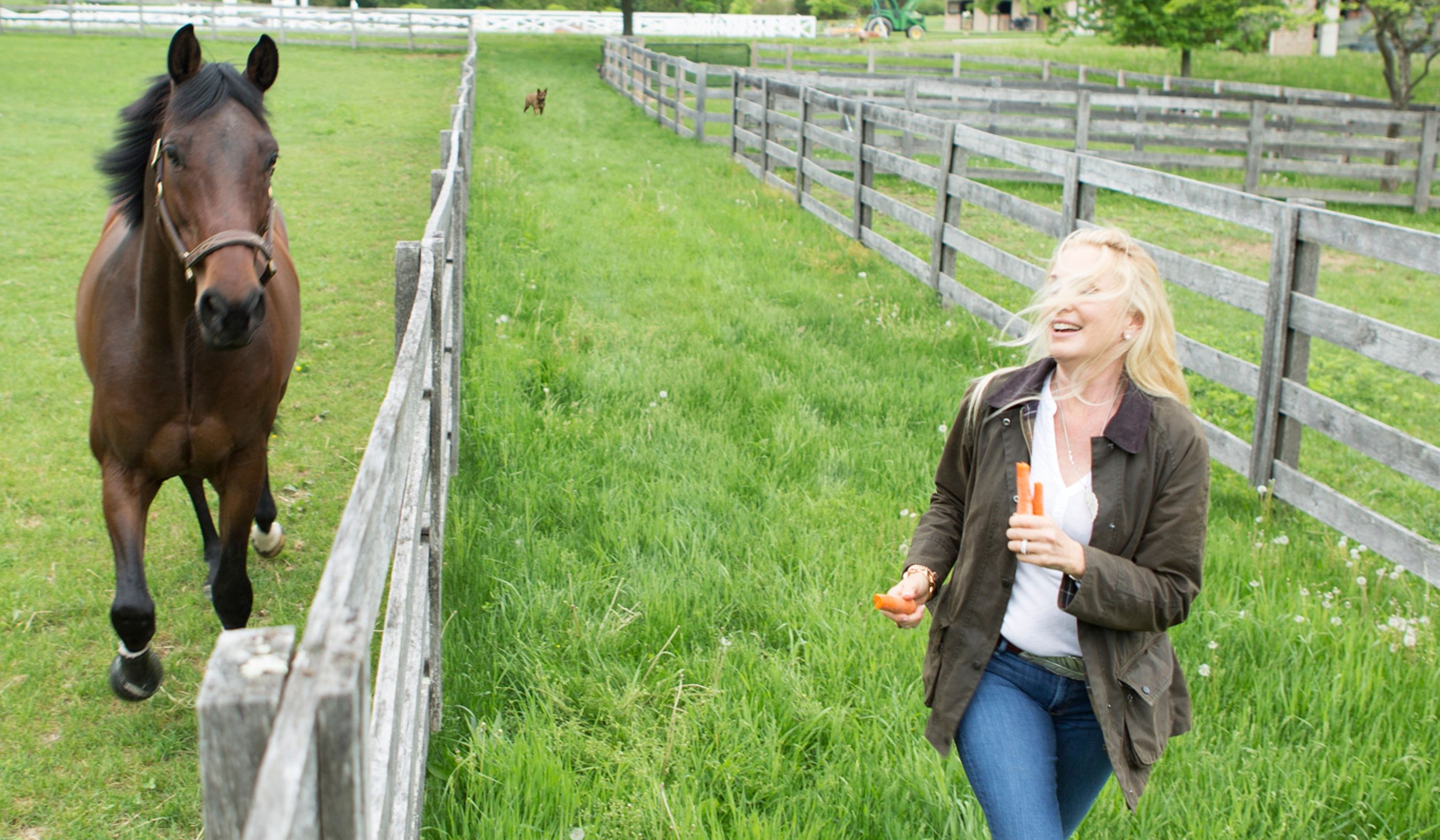 Long Island Horse Rescuer Manda Kalimian Was ‘Born to Rewild’