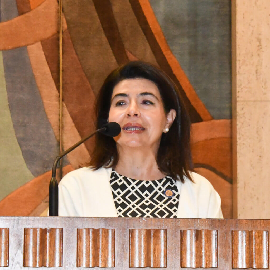 Former State Sen. Anna Kaplan Files to Run for George Santos ...