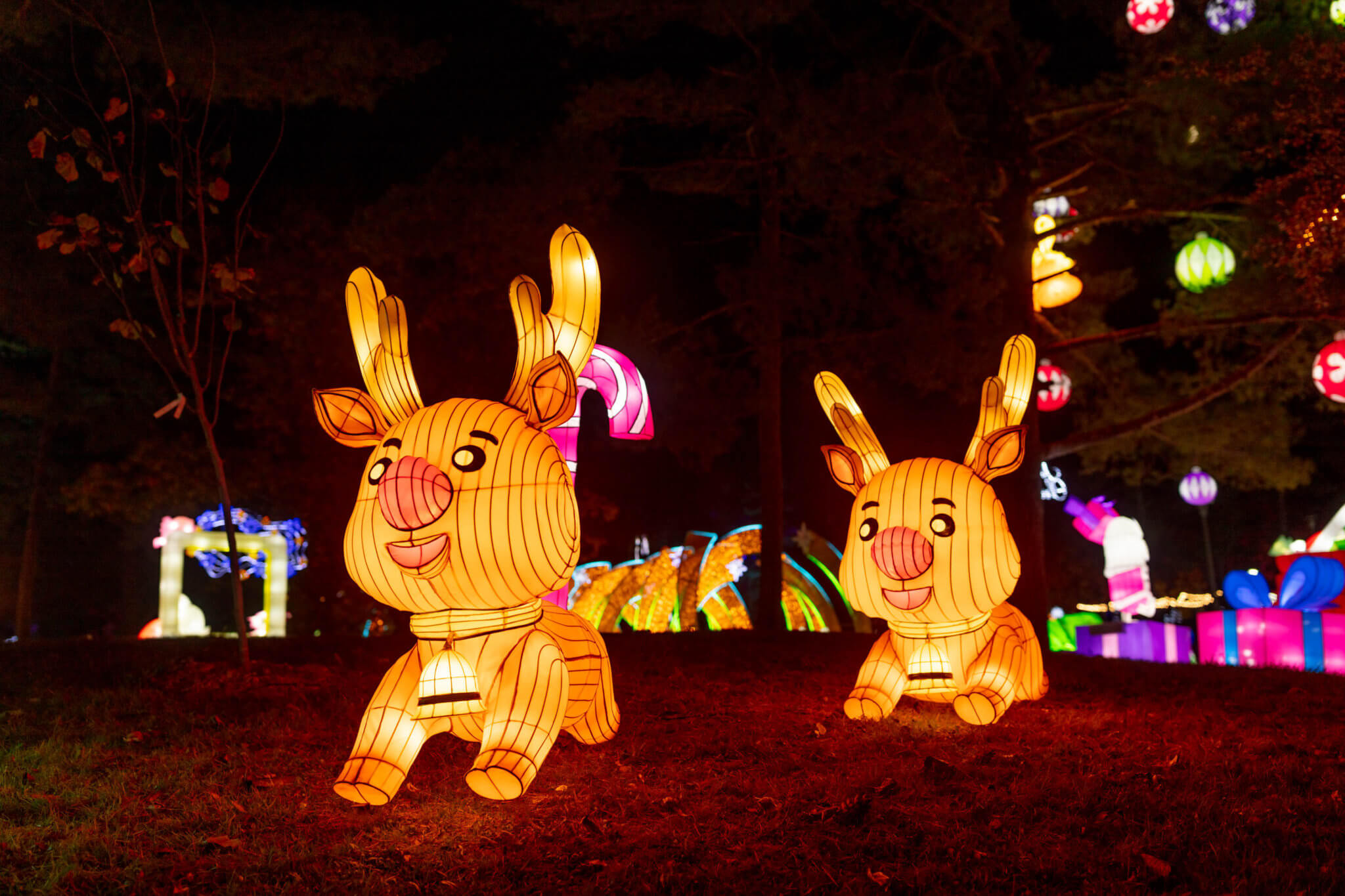 LuminoCity Festival Holiday Light Show Comes to Eisenhower Park