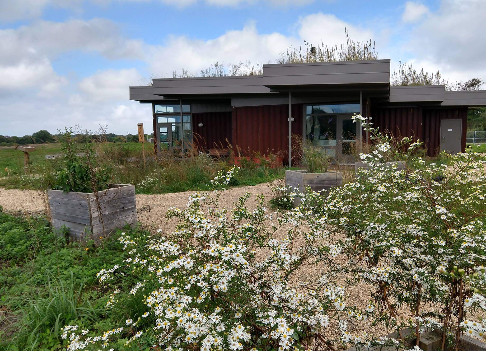 Friends of Hempstead Plains Dedicated to Protecting Nassau’s Open Land