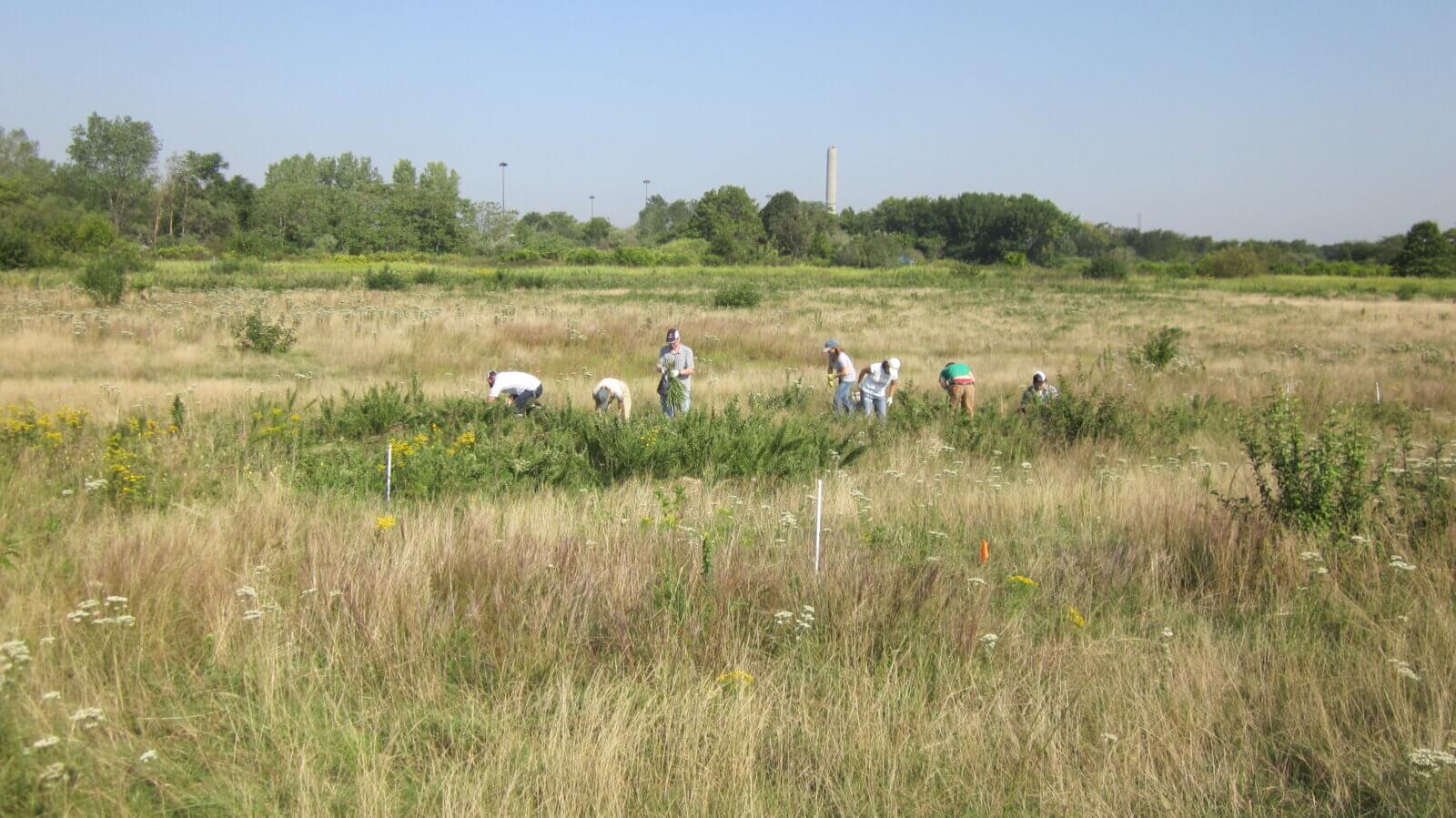 Friends of Hempstead Plains Dedicated to Protecting Nassau’s Open Land