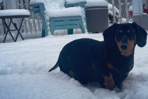 Joe Farrell on His Signature Style and Creating the Most Dominant ...