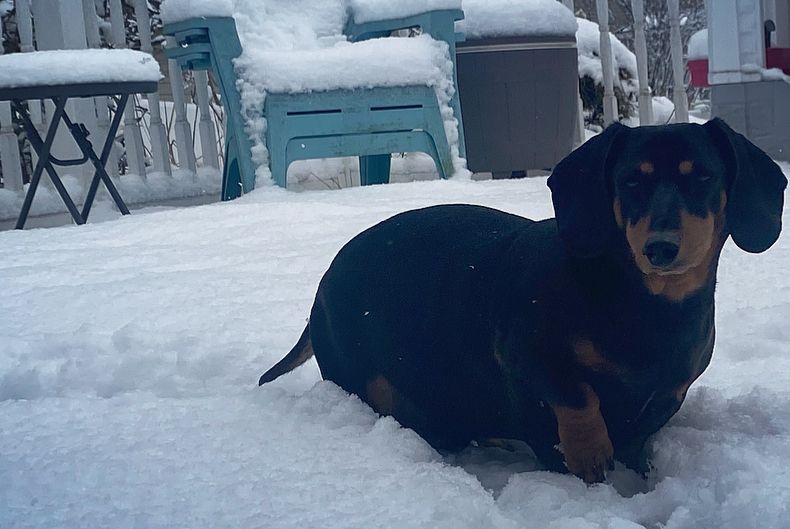 Joe Farrell on His Signature Style and Creating the Most Dominant ...