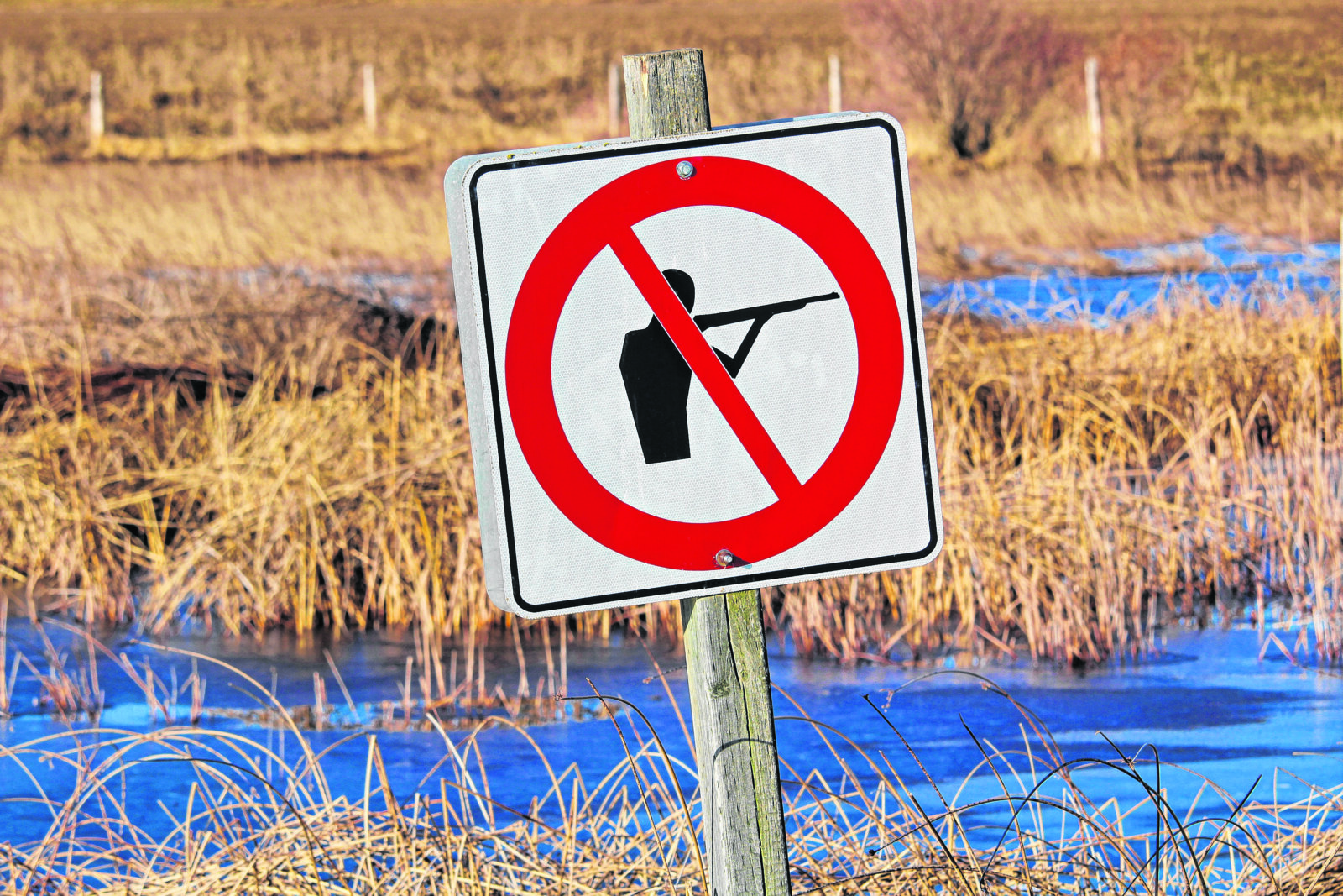 New Ban Enacted On Wildlife Killing Contests