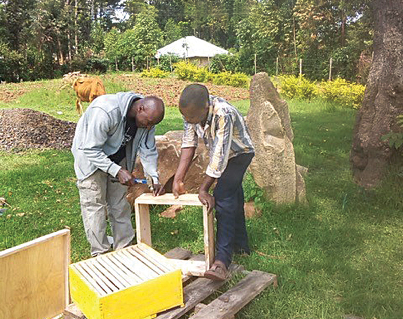 The Homeless Bee Project In Kisii, Kenya