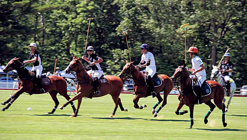 A String Of Poloponies…That’s Polo Ponies
