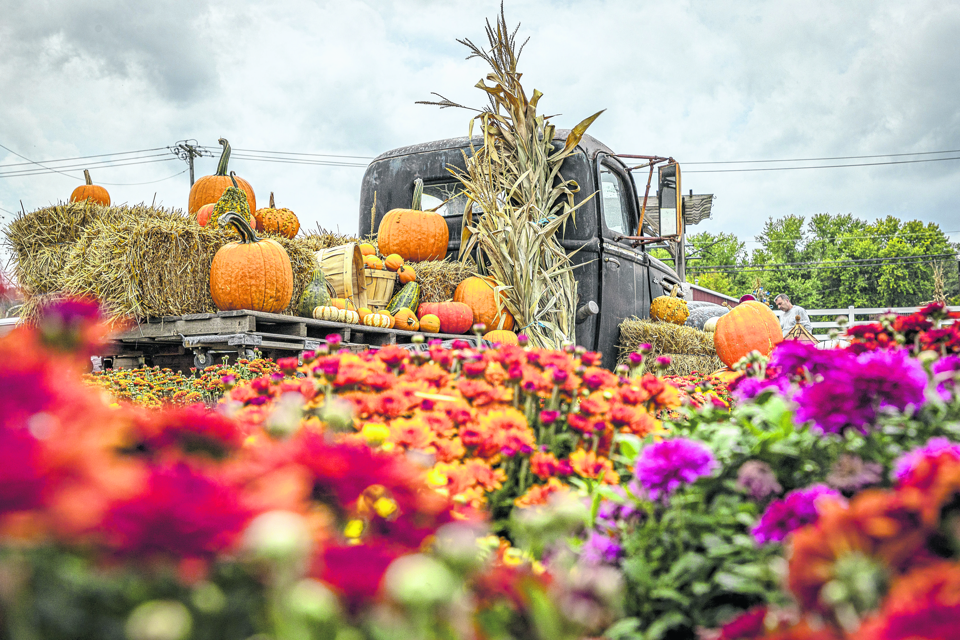 It’s Fall, Y’All! Long Island Fall Festivals and Fairs for 2024