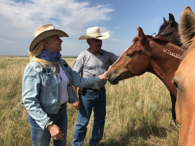 Manda Kalimian rewilds the American West to solve ‘wild horse crisis’