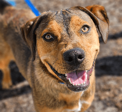 LI Press: Long Island News, Sports, and Entertainment