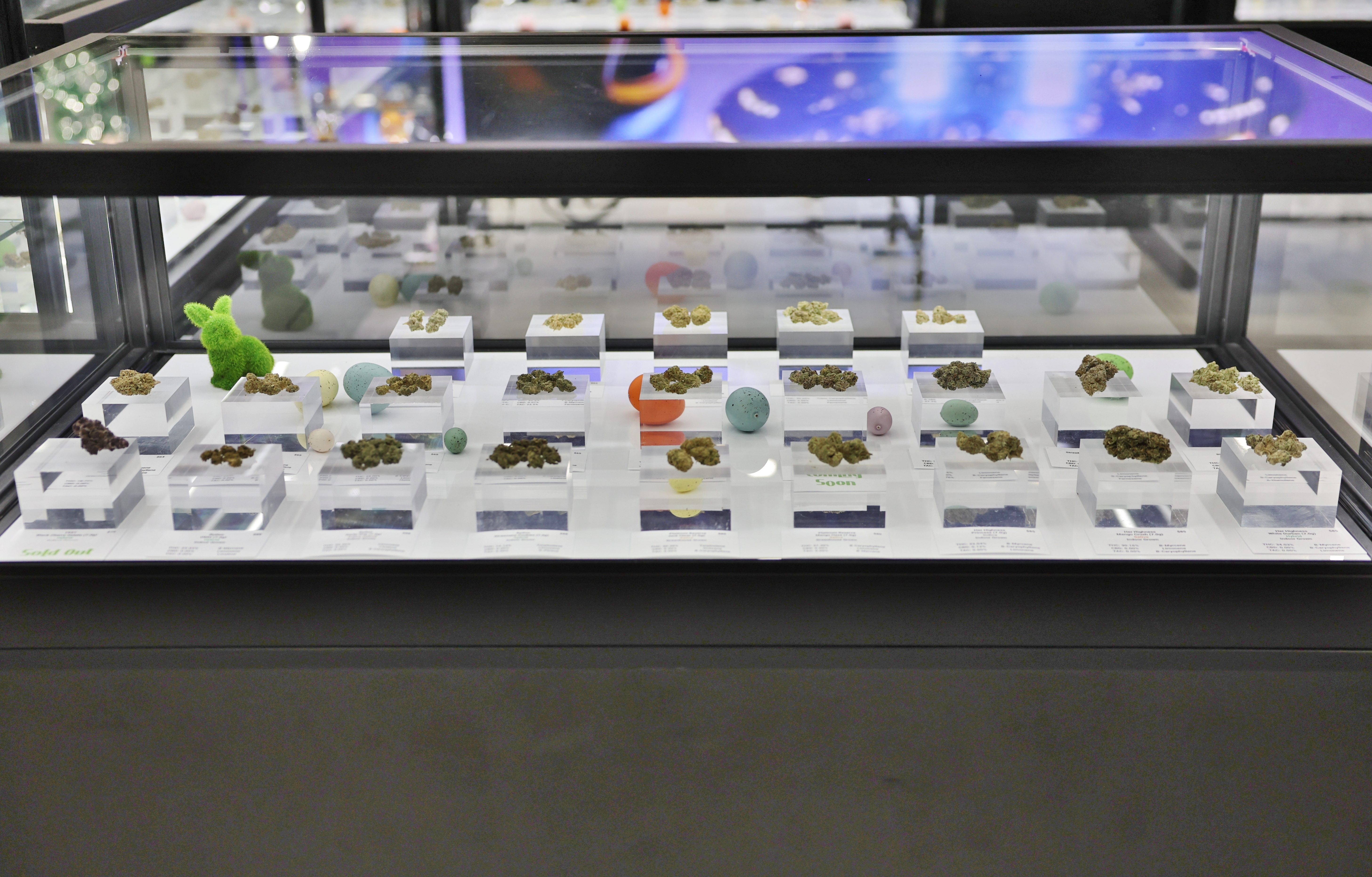 Planet Nugg: Elevating cannabis selection, service, and style