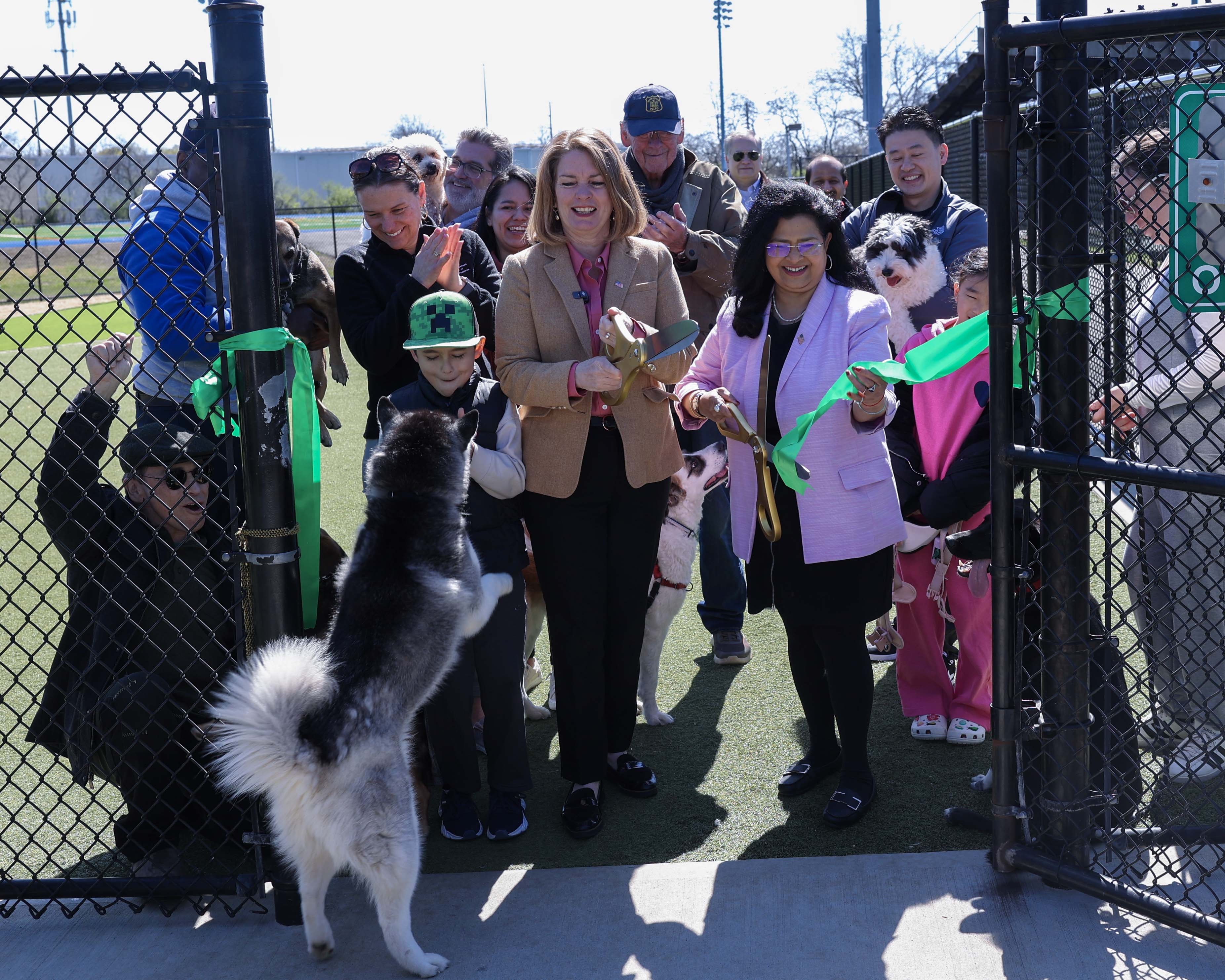 Michael J. Tully dog park gets a face-lift