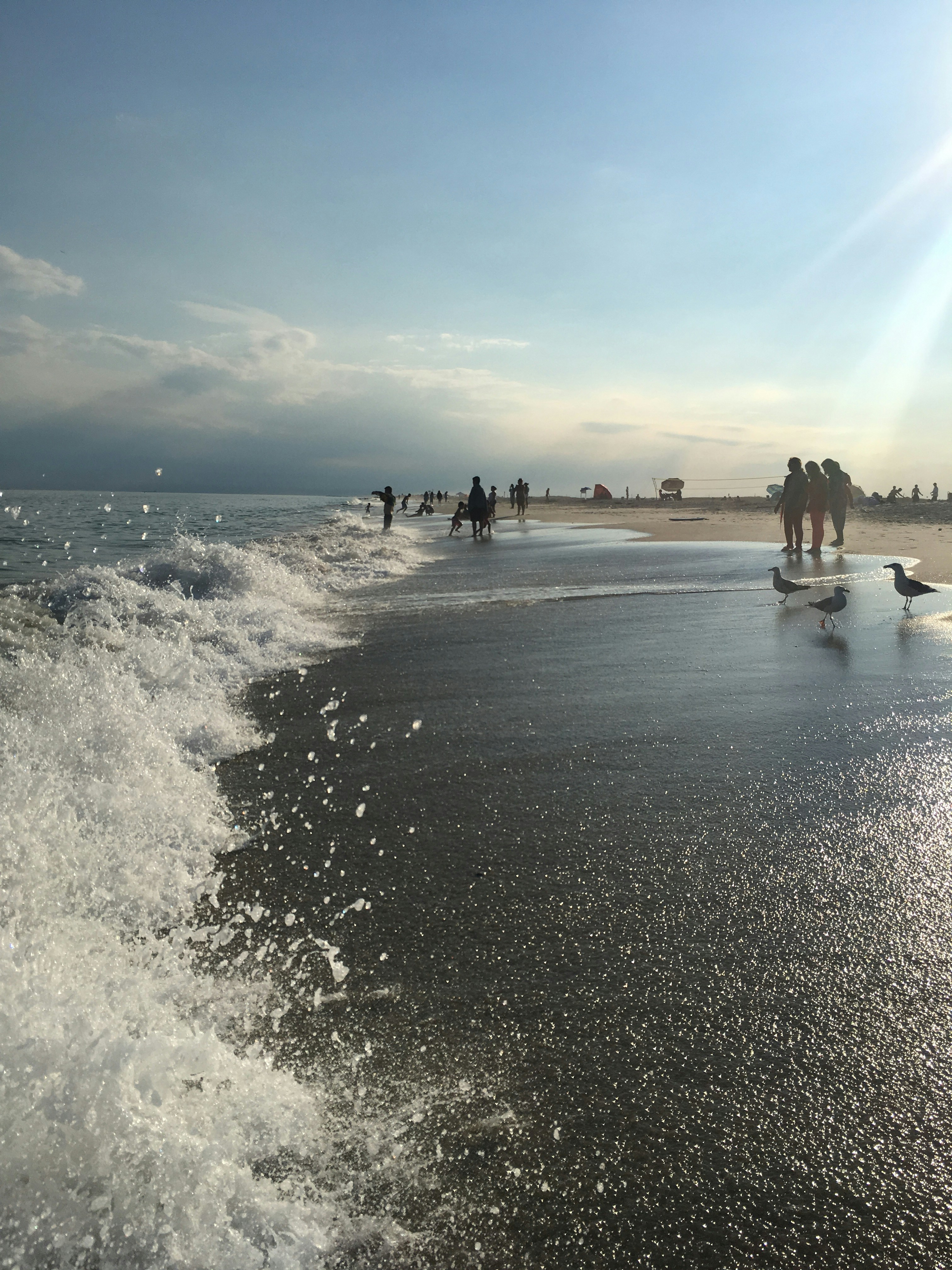 Discover Long Island beaches: from surf to serenity