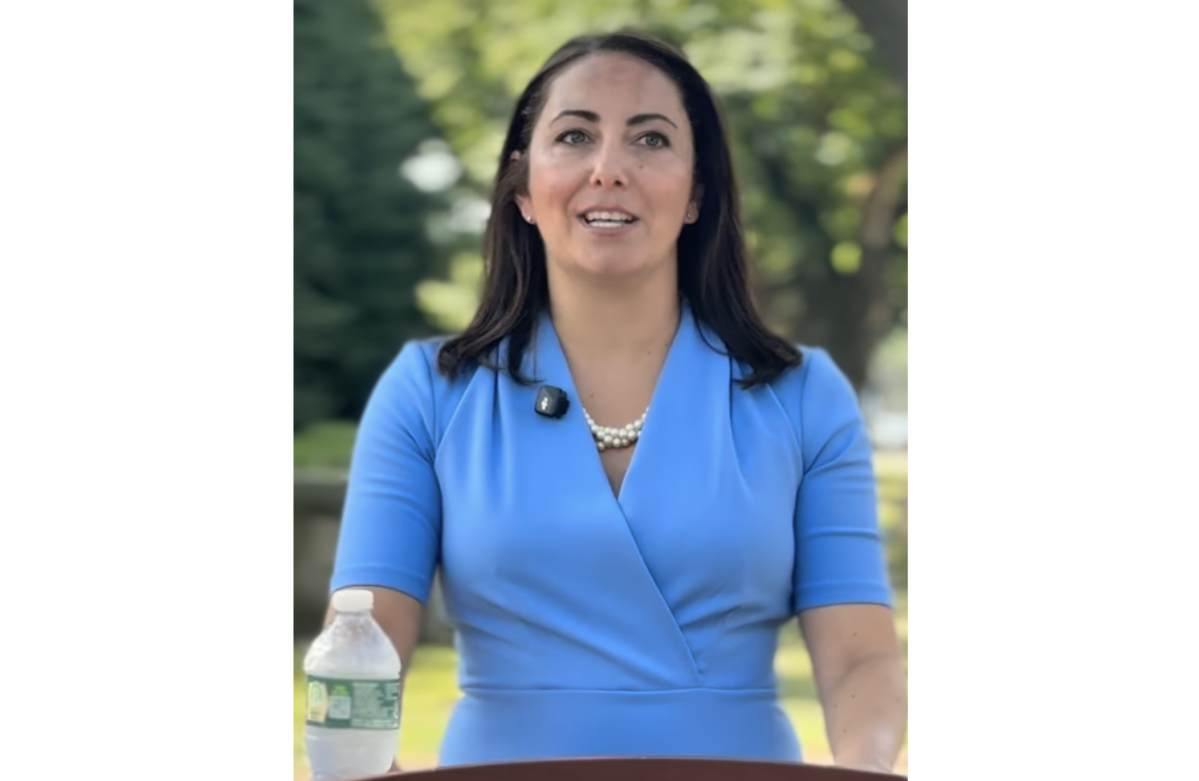 Democrat Nicole Aloise outraises incumbent Anne Donnelly in challenge ...