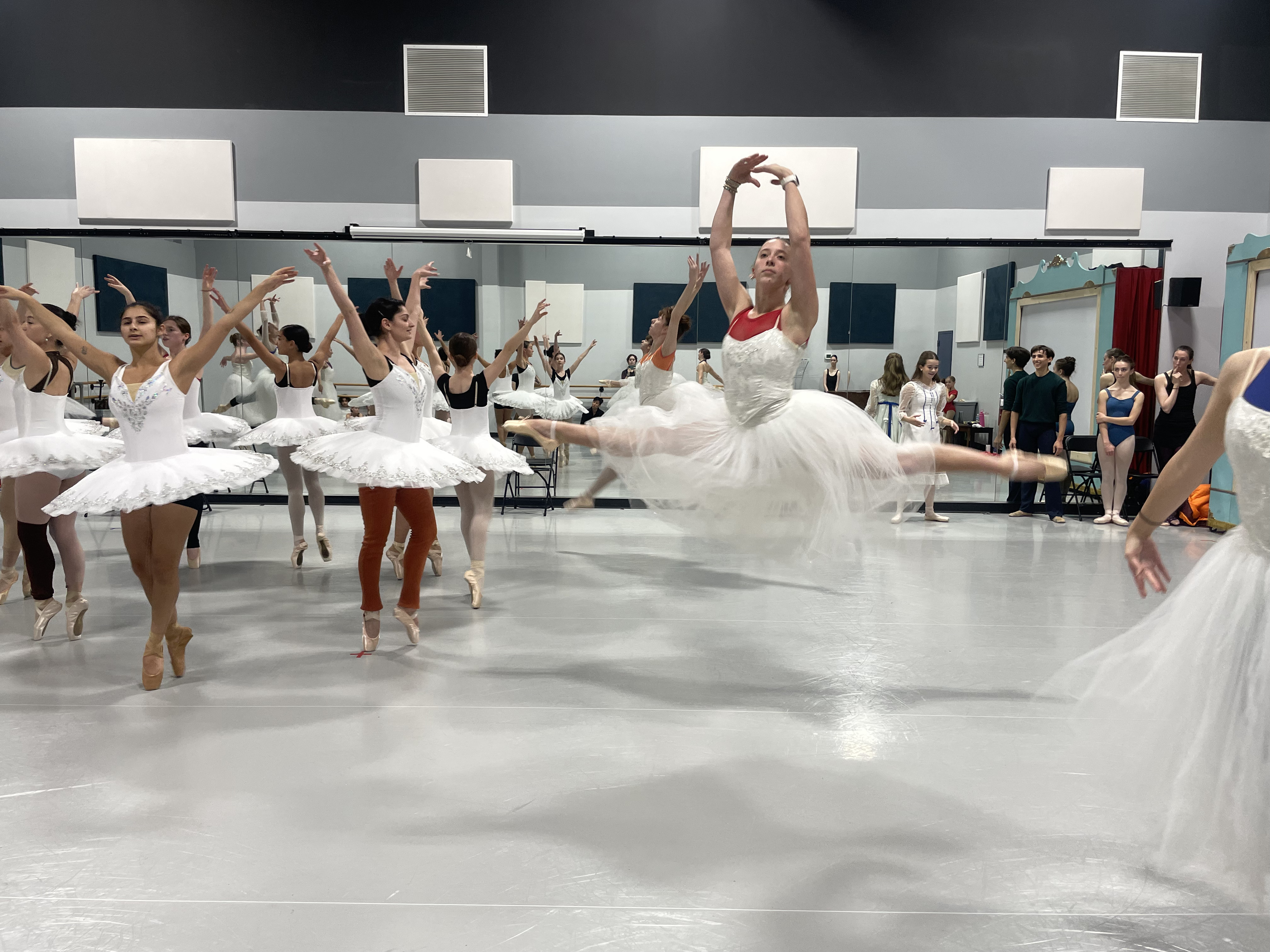 Eglevsky Ballet debuts all-new ‘Nutcracker’ at Tilles Center with NYC ...