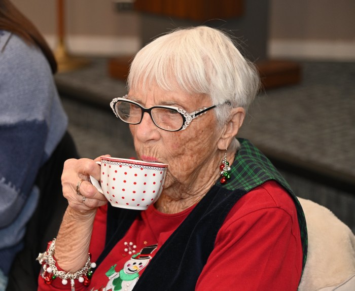 Budapest Tea House delights Westbury Library patrons with exquisite ...